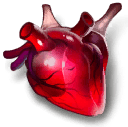 Beating Heart